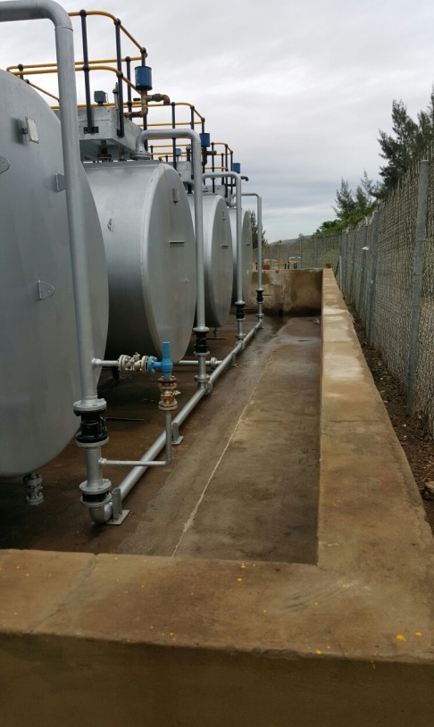 Ruger Energies – Changing The Future